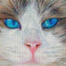 BLUE EYED CAT Diamond Painting Kit – DAZZLE CRAFTER